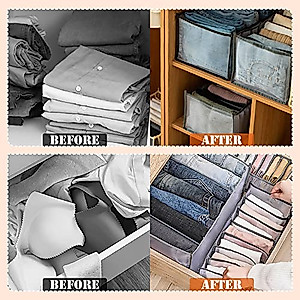 5PCS Clothes Organizer