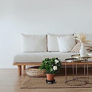 Cabilock Planter Dolly Caddy Plant Stand Round Flower Pot Mover Drip Trays with Wheel Plants Trolley Holder Coaster for Home Patio Garden 9X21CM (Black) Heavy Duty Plant Dolly