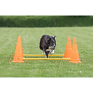 TRIXIE Dog Agility Hurdle Cone Set, Portable Canine Agility Training Set, 6 Exercise Cones with 3 Agility Rods