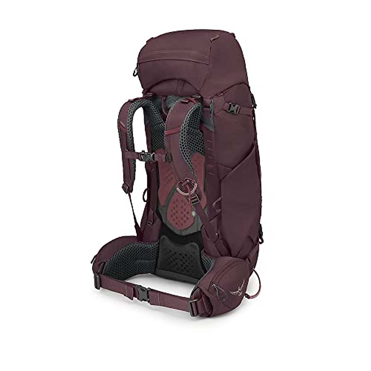 Osprey Kyte 58L Women's Backpacking Backpack with Hipbelt, Elderberry Purple, WM/L