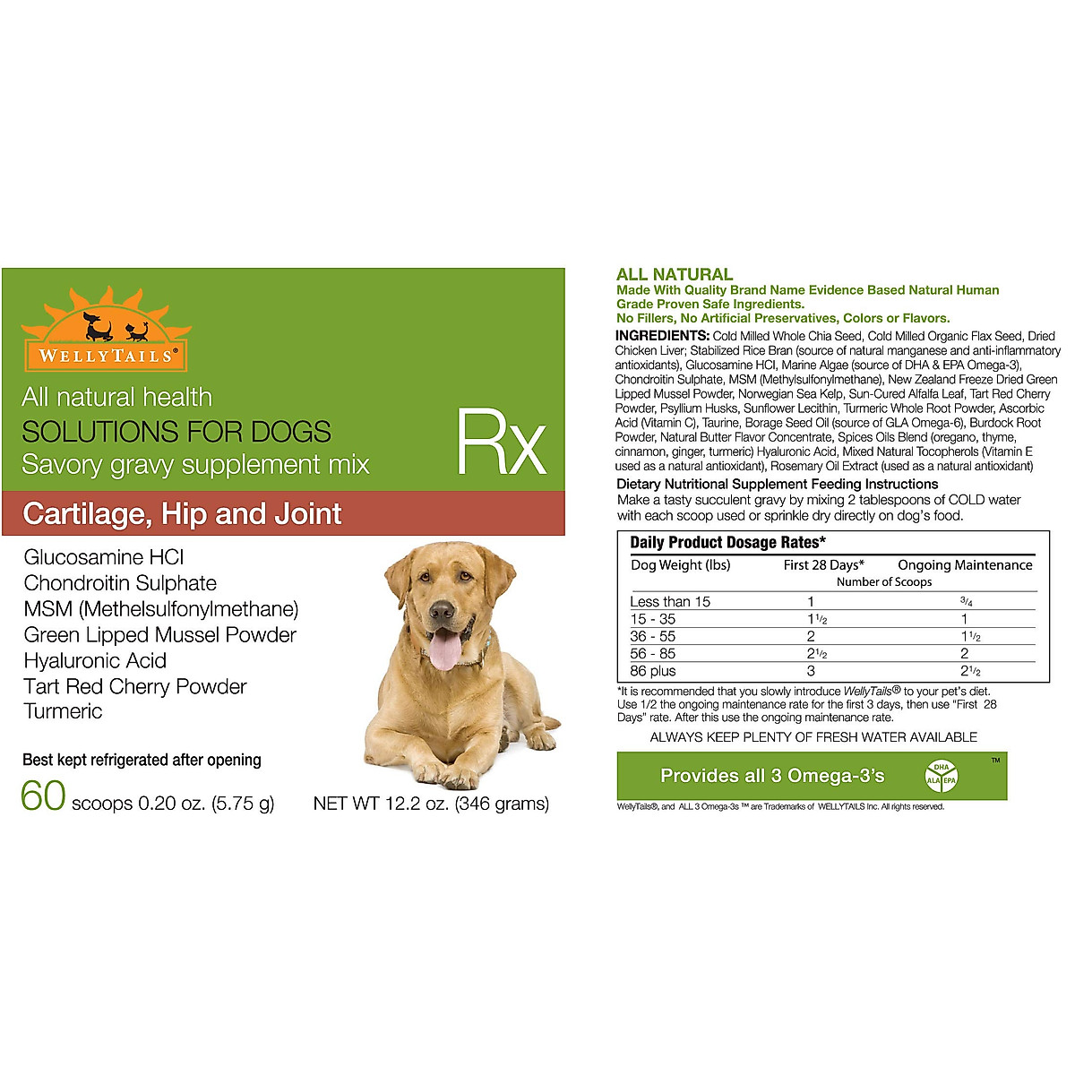 WellyTails Glucosamine Chondroitin MSM Turmeric Dog Joint Supplement for Large Dogs 12.2 oz. (60 Scoops)
