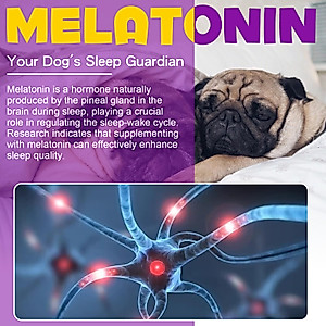 Dog Melatonin - Melatonin for Dogs - Dog Melatonin for Small Dogs - Cat Melatonin - Anxiety & Stress Relief - Promote Relaxation & Deep Sleep for Cat & Dog