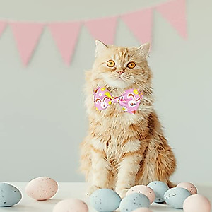 Pohshido Easter Cat Collar with Bow Tie, Holiday 2 Pack Kitty Kitten Cute Bunny Carrot Collar for Girls and Boys (Hoppy Hour/Pink)