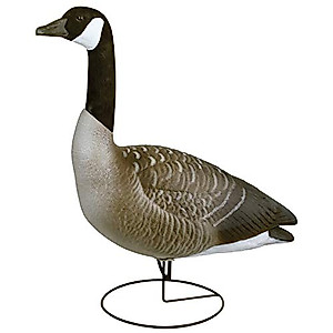 Flambeau Outdoors 8990FBU Storm Front 2 Canada Goose Decoys, Full Body Flocked Heads - 6-Pack