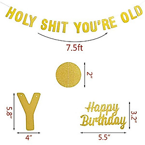 Birthday Party Decorations Holy Sht You're Old Glitter Gold Banner Circle Dots Garland Happy Birthday Cake Topper 30th-40th-50th-60th-70th-80th Birthday Party Baby Shower Supplies Funny Photo Props