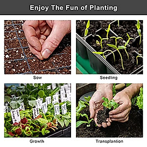 ELCOHO 6 Pack Seed Starter Tray Kit 40 Cells Seedling Trays with Humidity Dome and Base Mini Propagator Plant Nursery Pots Total 240 Cells for Greenhouse Plants Growing, Black