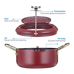 LEPO Deep Fryer Pot, 2.2L Small Japanese Tempura Deep Fryer Pot, With Thermometer,Lid And Oil Drip Drainer Rack,304 Stainless Steel Fryer Pot, for Kitchen French Fries, Fish and Shrimp
