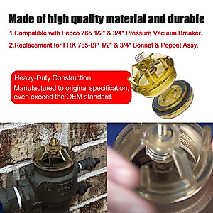 Febco 765-1 Repair Kit 905212 Bonnet and Poppe Repair Kit Compatible With febco 1 & 1-1/4 Inch ackflow Preventer and Pressure Vacuum Breaker