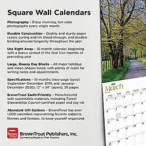 Shetland Sheepdogs 2020 12 x 12 Inch Monthly Square Wall Calendar, Animals Dog Breeds