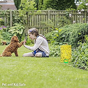 BLACK+DECKER Fruit Fly Traps for Indoors & Fly Traps Outdoor- Gnat Traps for House- Dual- Sided Yellow Mosquito & Fly Trap, 20 Pack Sticky Traps