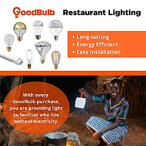 GoodBulb 25O-Watt Heat Lamp BR40 Light Bulbs | Incandescent Restaurant Bulb with E26 Medium Base | 2700K Warm White Light Color | 3250 Lumens (Pack of 10 Bulbs)