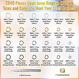 2840 Pieces Jump Rings for Jewelry Making, Shynek Open Jump Rings for Jewelry Making Supplies, Crafts and Keychains(4mm 5mm 6mm 7mm 8mm 10mm)