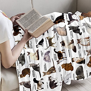 Cute Cat Blanket for Boys Girls, Ultra Soft Kids Cat Throw Blanket for Cat Lovers, Lightweight Cozy Cat Gifts Blanket for Christmas Thanksgiving Bed Couch Sofa 40x50in