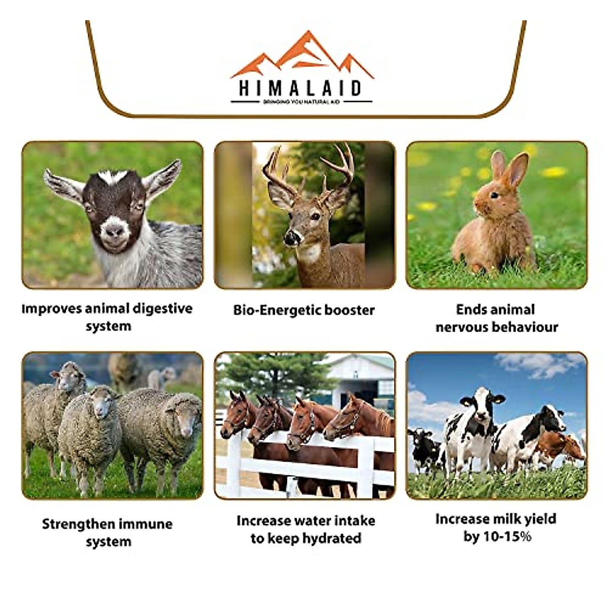 Himalaid Himalayan Salt Lick on Rope for Horses, Cattles, and Other Livestock, 6 LBS Each (3 Pack)