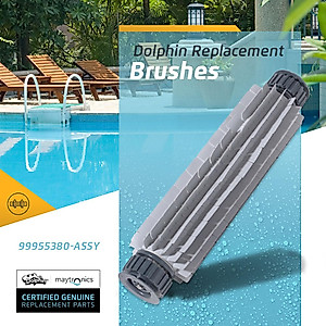 Dolphin Genuine Replacement Part — Rear Grey Brush Kit — 99955380-ASSY