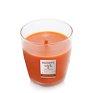 Nature's Wick Pumpkin Nutmet Scented Candle, 10 ounces, Medium