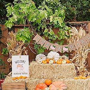 Gankbite Pumpkin It's A Girl Burlap Banner Pink Fall Baby Shower Garland Little Pumpkin Theme Decoration