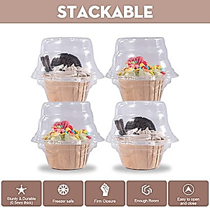Cupcake Boxes, Individual Cupcake Containers, Disposable Cupcake Holders with Lid, Muffin Salad Dessert Hamburgers Fruit Cupcake Carriers 120 Pack.