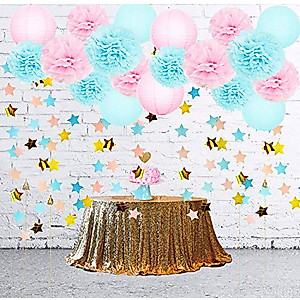 Twinkle Twinkle Little Star Gender Reveal Party Supplies Baby Shower Decorations Baby Blue Pink Paper Lanterns Pink Blue Gold Star Garland for Pink Blue Decorations/Gender Reveal Decorations