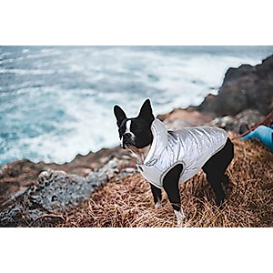 Dog Fleece Hoodie, Windproof Waterproof Dog Coat Fleece & Cotton Lined Warm Dog Jacket, Cold Weather Pet Apparel Clothes Vest for Small Medium Large Dog (S: Length 10.6", Chest 11.8"-15", Silver)