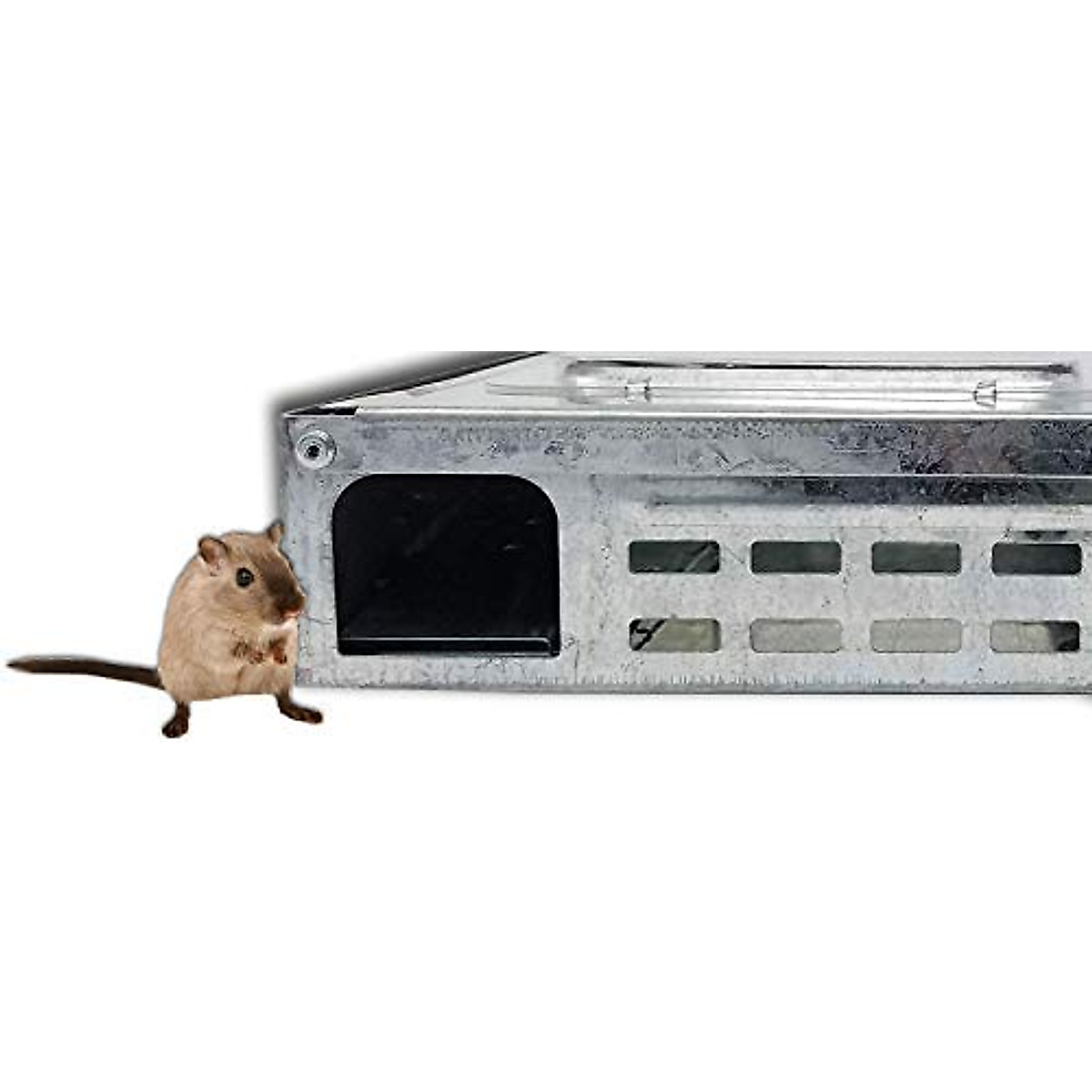 Janico 9202 Repeather Multiple Catch Mouse Trap (1)