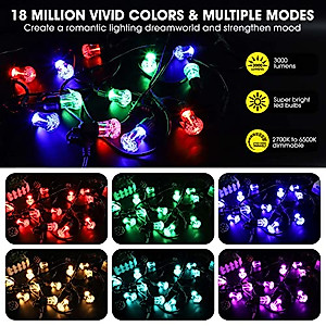 Queker Upgrade 25ft Outdoor String Lights,Smart RGB LED String Lights Work with Alexa,Waterproof Outside Patio String Lights with 12 Dimmable LED Bulbs,Color Changing Outdoor Lights with App & Remote