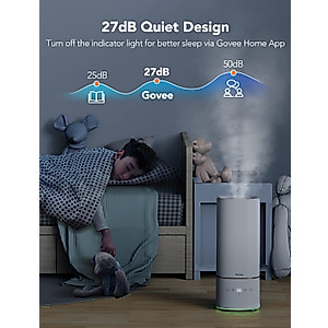Govee 6L Smart WiFi Humidifiers for Bedroom Large Room Plants, Top Fill Cool Mist Humidifier with App Control, Auto Mode with Sensor, Essential Oil Diffusers and Night Light, Works with Alexa