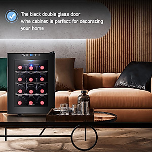 JOINTCO 12 Bottle Thermoelectric Mini Fridge, Freestanding Wine Cooler, 41F-64F, For Red & White Wine