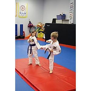 Tumbl Trak Rebound Red Mat with 2-Sided Hook and Loop Fasteners, Black