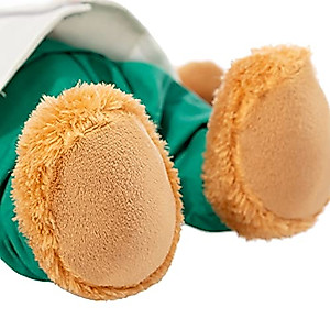 HollyHOME Doctor Bear Stuffed Animal Plush Teddy Bear in Scrubs and White Coat Gifts for Doctors Students and Kids 10 Inch