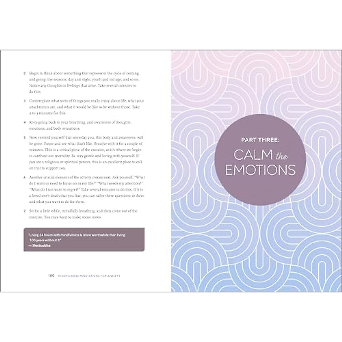 Mindfulness Meditations for Anxiety: 100 Simple Practices to Find Peace Right Now