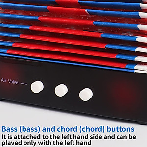 Kids Accordion, Horse 10 Keys Control Kids Accordion Musical Instruments for Kids Children Beginners Lightweight and Environmentally-friendly (Black)