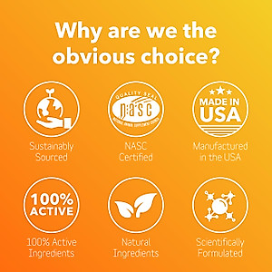 In Clover Dog Skin and Coat Supplement, BioRadiant Natural Supplement for Dogs, Healthy Skin and Coat Supplement, Fish Oil Alternative Uses Carrots, Coconut, Omega 3's, Biotin and Zinc Soothe Skin