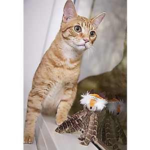 SmartyKat Toss-A-Fox Feather Toss & Chase Cat Toy, Randomly Selected Color - Brown OR White, One Size