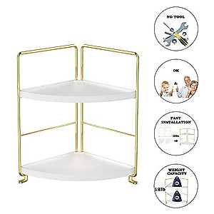 kaileyouxiangongsi 2-Tier Kitchen Spice Rack-Corner Bathroom Shelf- Kitchen Triangle Storage Rack - Standing Rack for Bathroom, Living Room, Bedroom, Kitchen (Golden)