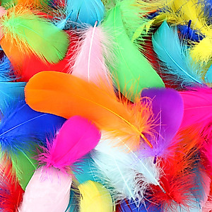 HaiMay 450 Pieces Colorful Feathers for Craft Wedding Home Party Decorations, 3-5 Inches 10 Colors Craft Feathers