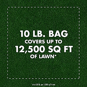 Spectracide Triazicide Insect Killer for Lawns Granules, 10 lb Bag, Kills All Listed Lawn-Damaging Insects (Pack of 2)