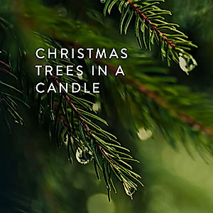 Thymes Tin Candle - 2.5 Oz - Frasier Fir