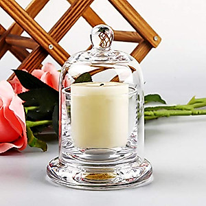 GANAZONO Decorative Cloche Jar 1 Set Glass Cloche Dome Candle Holder Bell Jar Tabletop Decorative Case Covered Plants Terrarium Jar Plant Cover for Cake Dessert Display Transparent Dessert Dome Cover