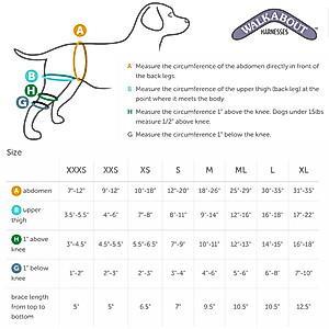 Walkabout Harnesses Black Knee Brace for Dogs Treat ACL, CCL Injury, Arthritis, Joint Pain, Fatigue and Stress with The Walkabout Knee Brace (ML Right)