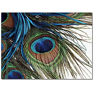 Area Rug for Bedroom Living Room- Elegant Peacock Feather Abstract 3D Painting Art Contemporary Floor Carpet Comfy Runner Rug Nursery Playmats Home Decor Mat, 5'x8'