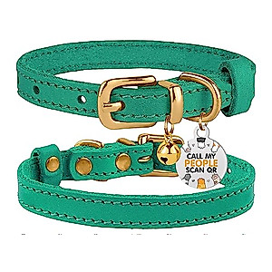 BRONZEDOG Leather Cat Collar with Bell Non Breakaway Kitten QR Tag for Girl Boy (7" - 9" for Cats, Green & Gold)