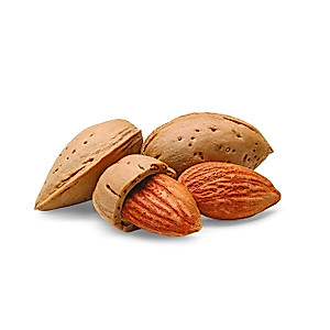 Watkins Pure Almond Extract, 11 oz. Bottle, 1 Count