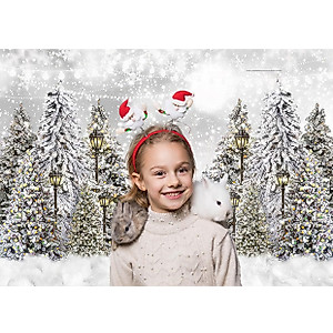 Alltten Winter Backdrop Winter Wonderland Backdrops Christmas Party Photo Banner 7x5ft F100