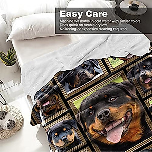 Rottweiler Blanket for Women Men, Rottweiler Gifts for Rottweiler Dog Lover, Super Soft Fuzzy Dog Throw Blanket Rottweiler Decor Plush Gift for Birthday Christmas 60x80 inch