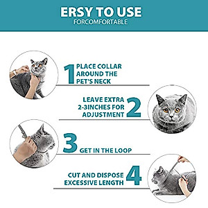 Flea and Tick Collar for Cats,8 Month Flea and Tick Treatment and Prevention for All Sizs Cats,Adjustable and Waterproof,100% Natural Ingredients,Include Tick Removal Tools,2 Pack