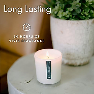 ScentAir- Scented Glass Jar Candle - Asian Garden