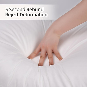 Cozy Bed Pillow Bedding, 2 Count (Pack of 1), White