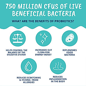 Under The Weather Pet Probiotic Powder for Dogs | Vet Formulated Dog Probiotics Supplement Filled with Good Bacteria | Promotes Healthy Digestion, Appetite, and Strong Immune System| 120 Servings