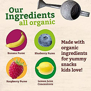 Peter Rabbit Organics, Organic Raspberry, Banana and Blueberry 100% Pure Fruit Snack, 4 oz. Squeeze Pouches (Pack of 10)